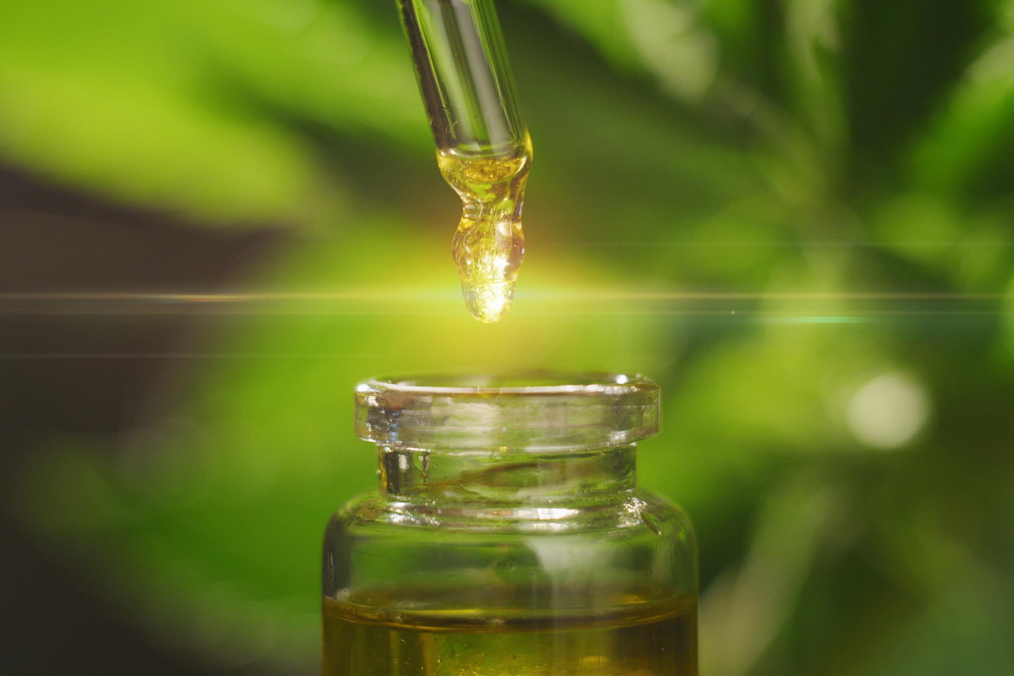 Everything You Need to Know About CBD Oils | Cannabis Clinic